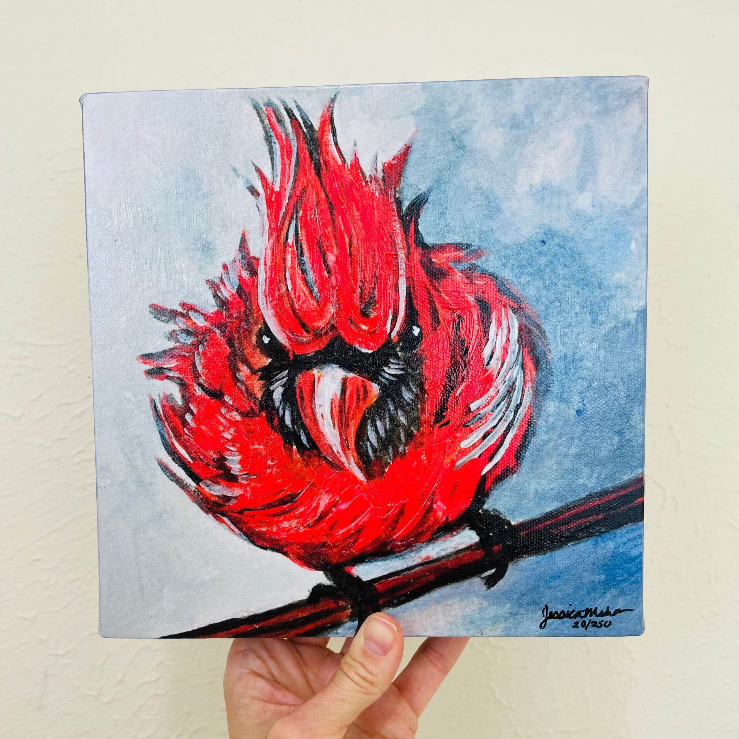 8x8" Angry Cardinal Canvas Print | Jessica Mahan Art