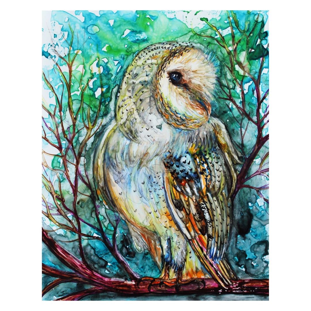 Barn Owl | Jessica Mahan Art